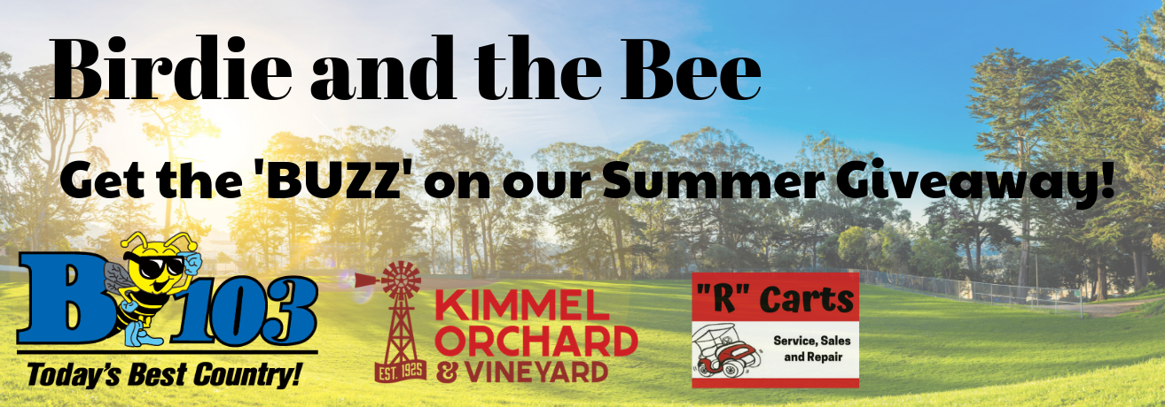 Birdie and the Bee - NEWS CHANNEL NEBRASKA