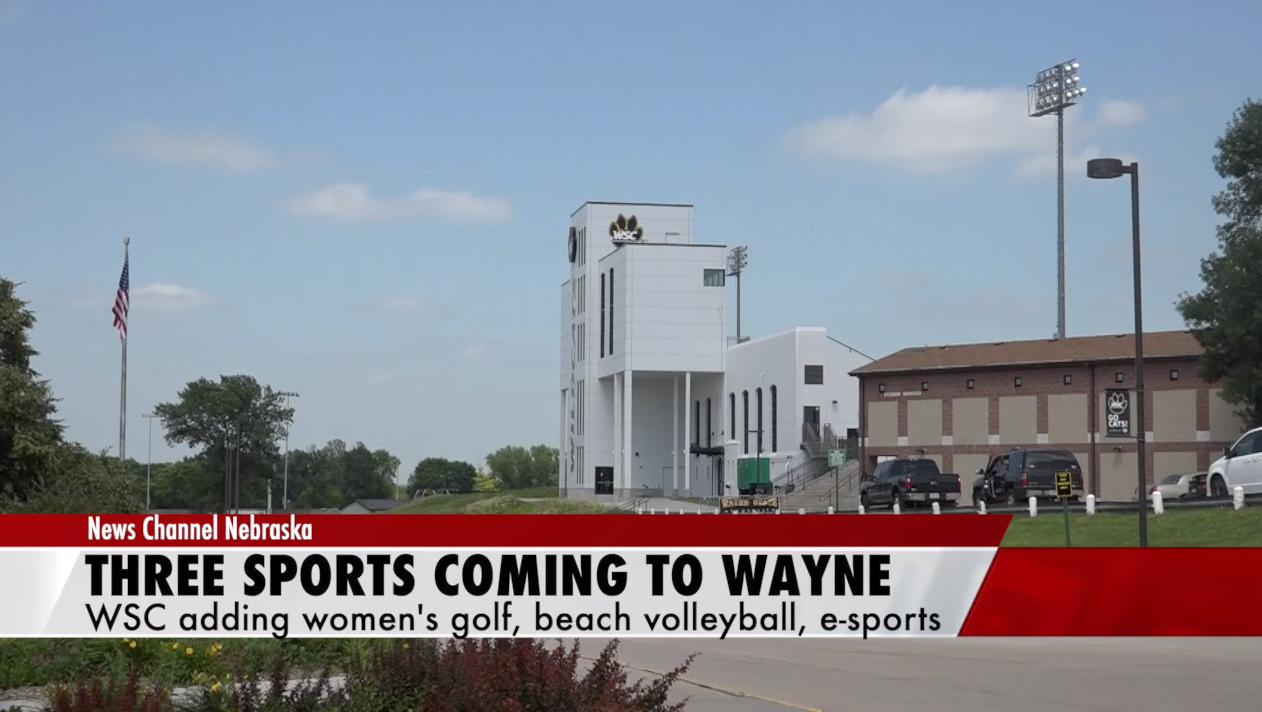 Wayne State College adding two new varsity sports, one new club sport ...