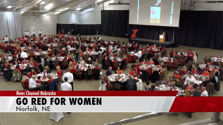 Norfolk hosts Go Red for Women to raise heart health awareness - NEWS ...