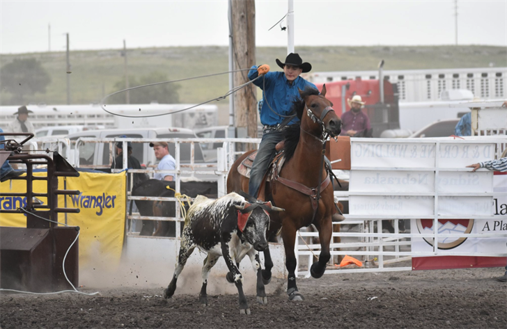 Cheyenne County Fair Board provides update on fate of County Fair ...