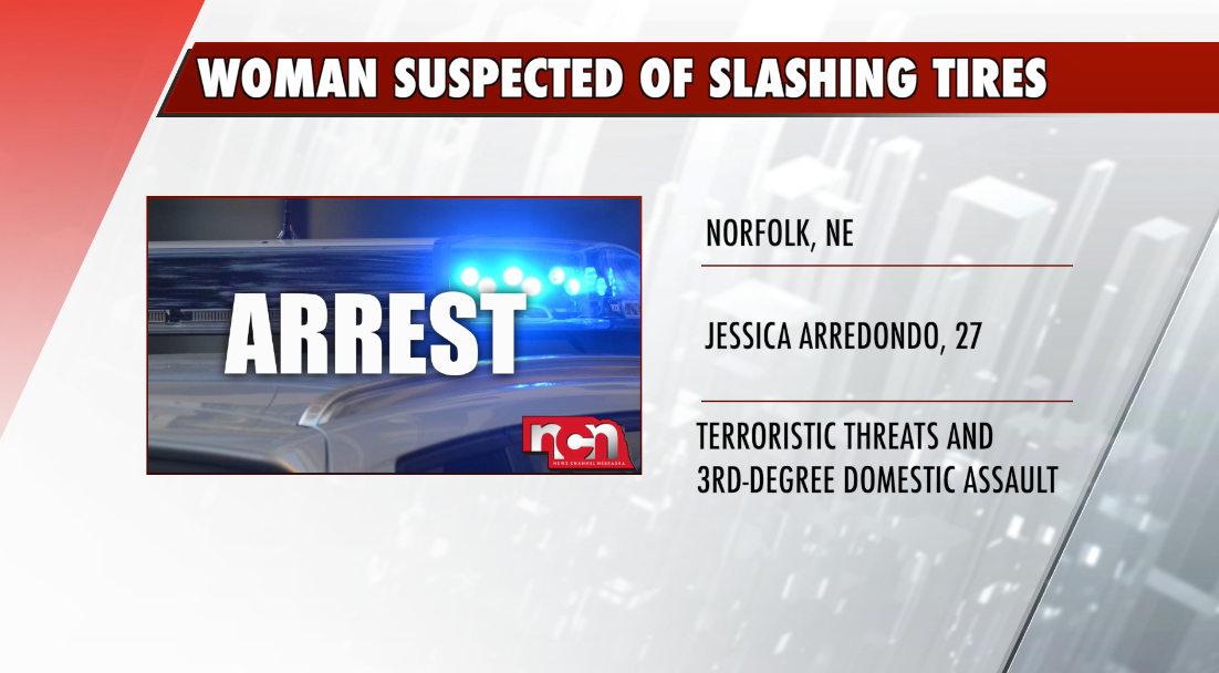 Norfolk woman arrested for alleged incidents with knife - NEWS CHANNEL ...