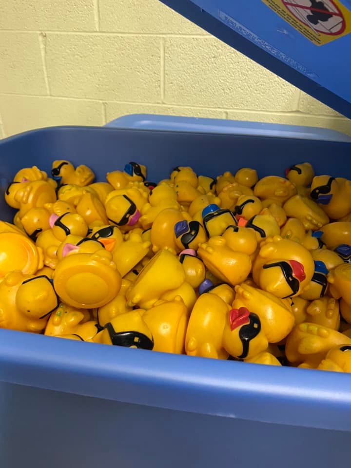 Popular Duck Races To Return To Homestead Days - SOUTHEAST - NEWS ...